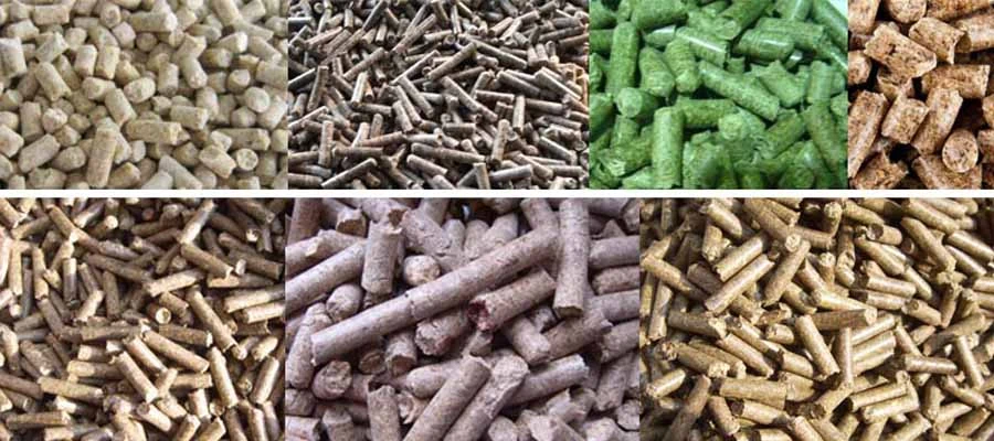Flat Die Feed Pellet Machine | Feed Pellets Mill